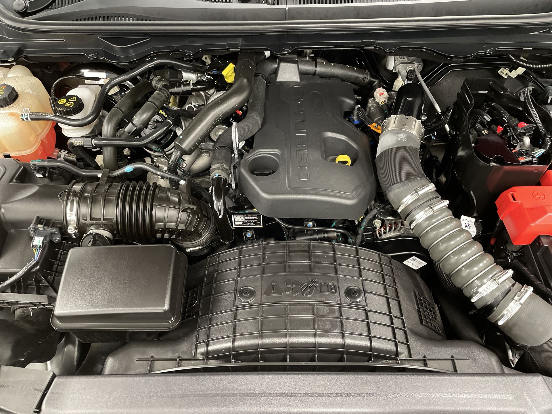 Used 2020 Ford Ranger XLT #501289 Cardiff, NSW