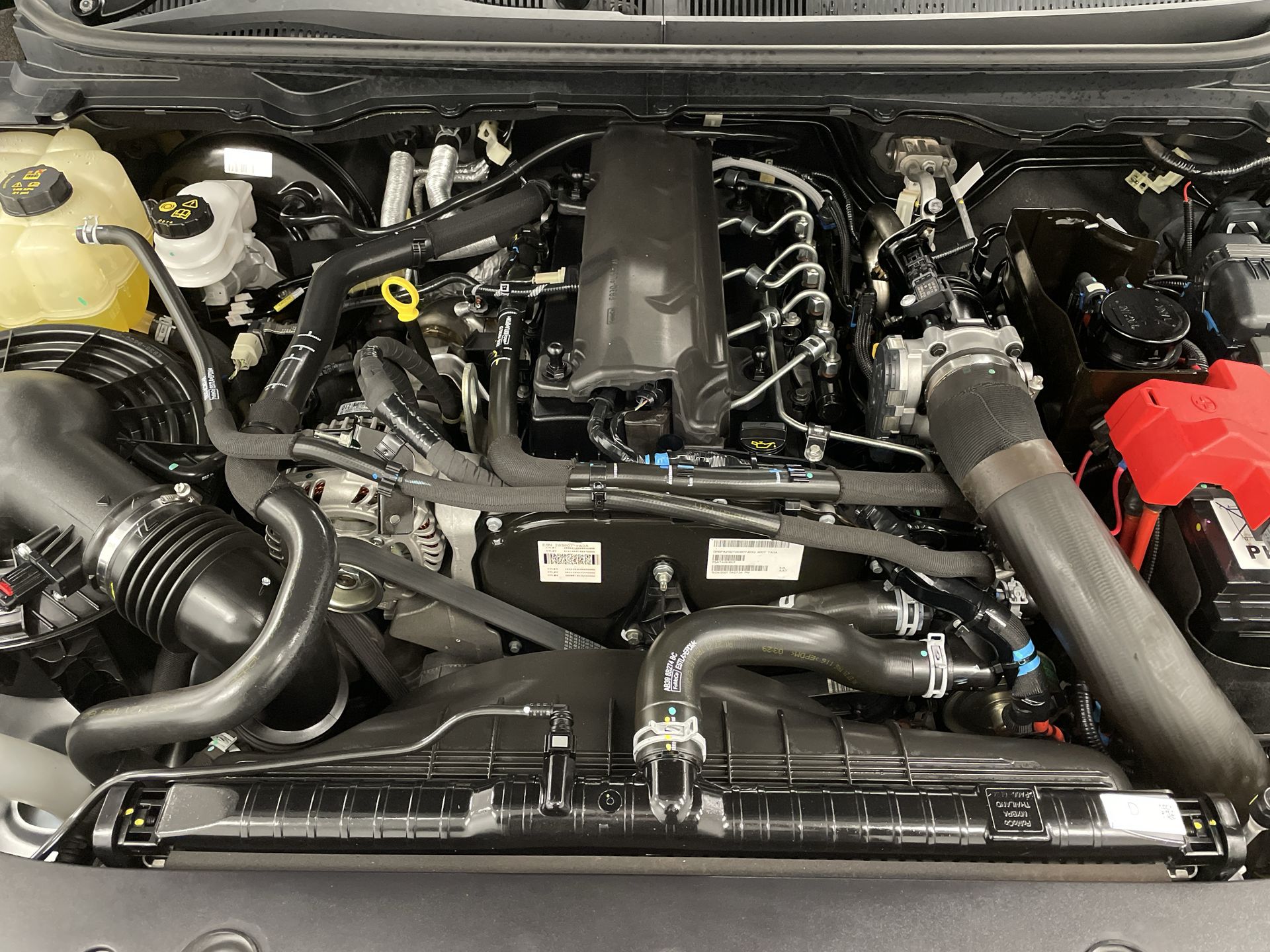 Used 2021 Ford Ranger Wildtrak #218101 Hamilton, NSW